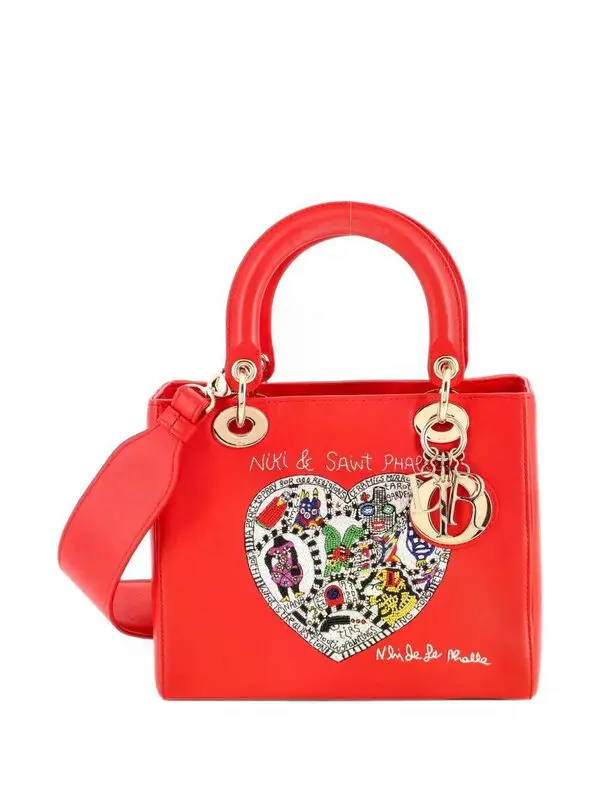 Dior Lady Bag Limited Edition Niki De Saint Phalle Embroidered Leather Medium Satchel - Multicolour