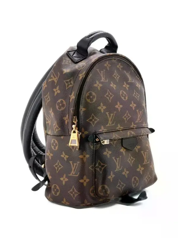 LOUIS VUITTON Palm Springs Monogram Canvas Pm Backpack - Brown