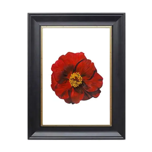JOHANNA FLEMING Red Camellia Flower Fine Art Print A5 - Red/black/white