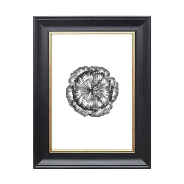 JOHANNA FLEMING Butterfly Fauna Fine Art Print A3 - Black/white/grey