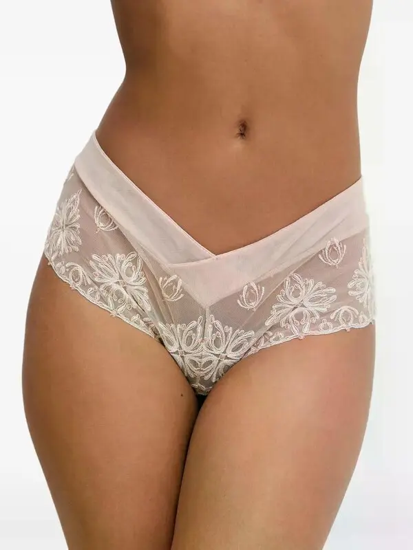 Chantelle Embroidered Mesh Briefs - Neutrals