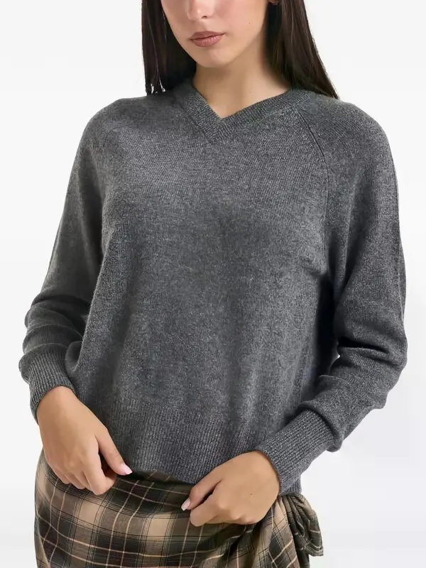 Max Mara Raglan-sleeve V-neck Sweater