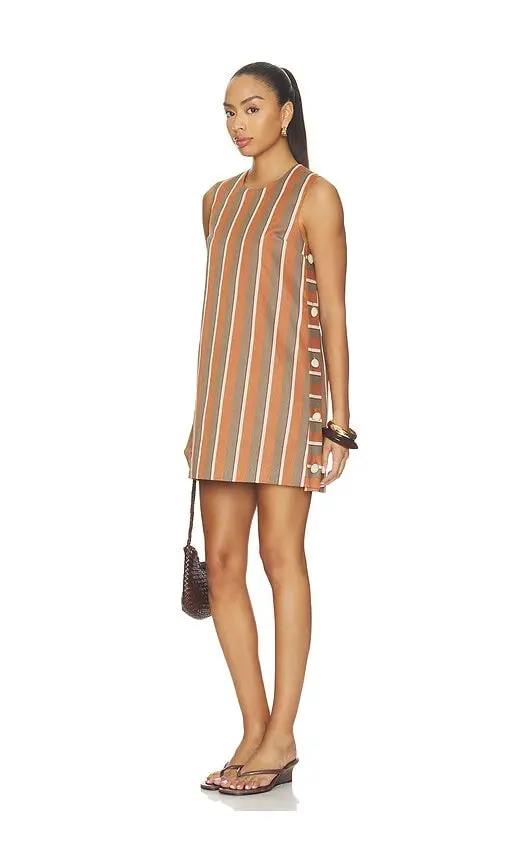 Alexis Barbale Dress