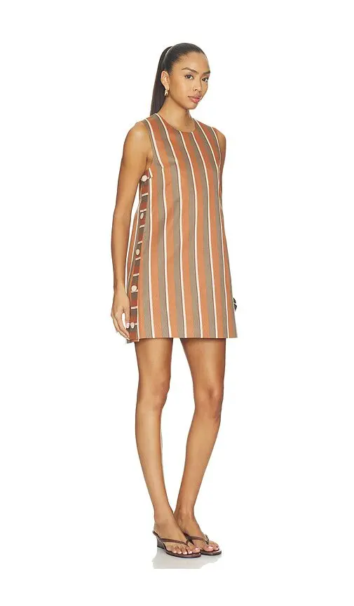 Alexis Barbale Dress