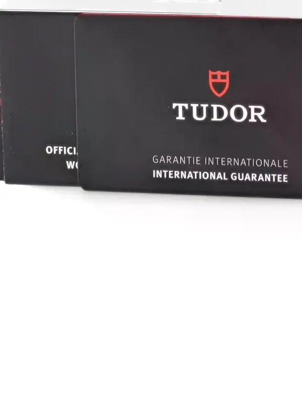 TUDOR 2025 Ranger 39mm Watch