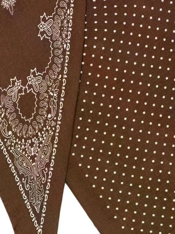 Destin Paisley-print Scarf