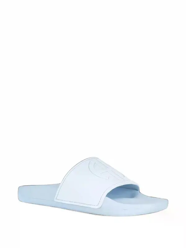 ANINE BING Logo Slides