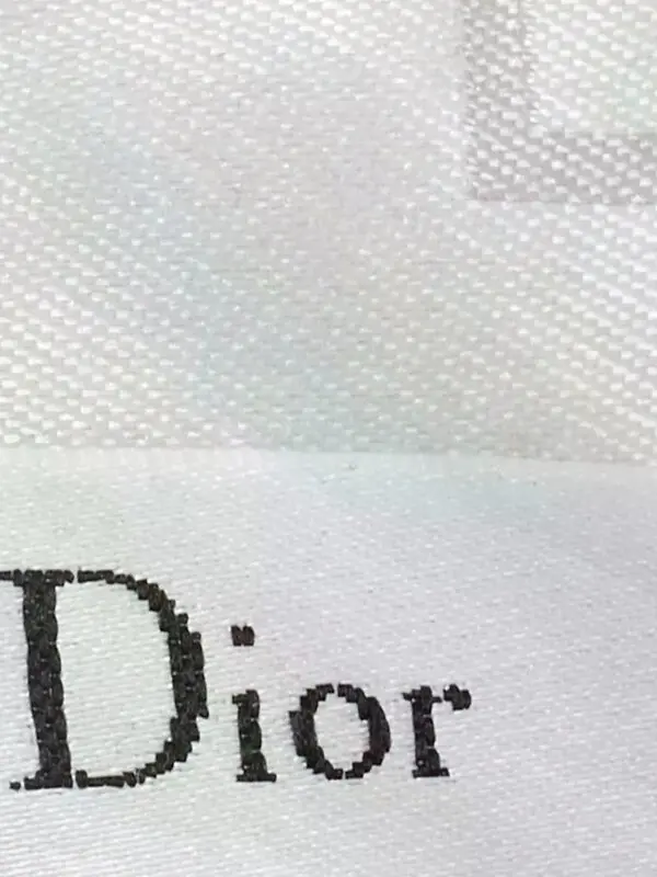 Dior 2016 Croisière Leaf-print Scarf