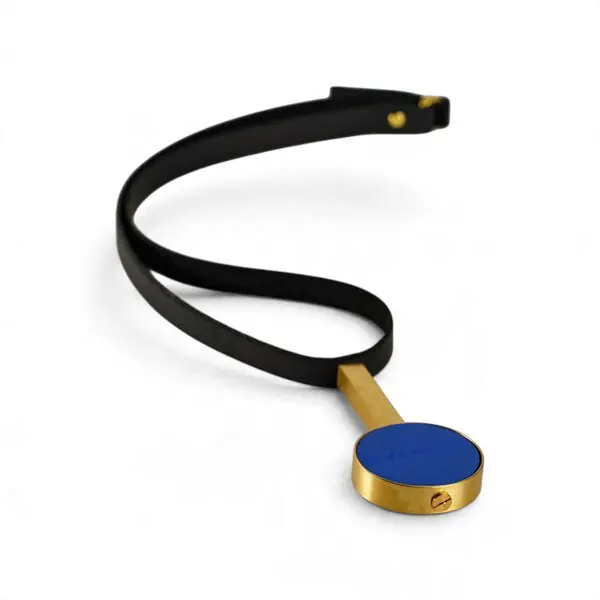 SVETLANA VUKOV Solar Loop Necklace - Blue