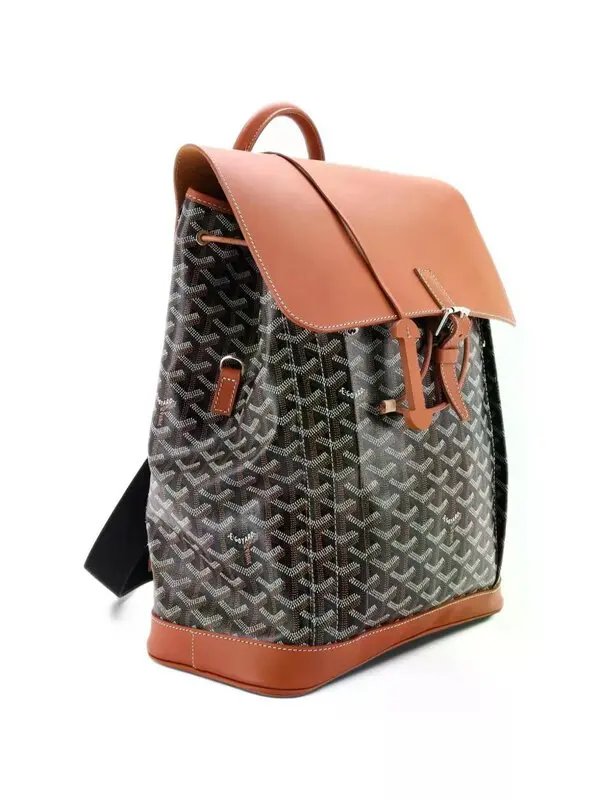 Goyard Alpin Coated Canvas Mm Backpack