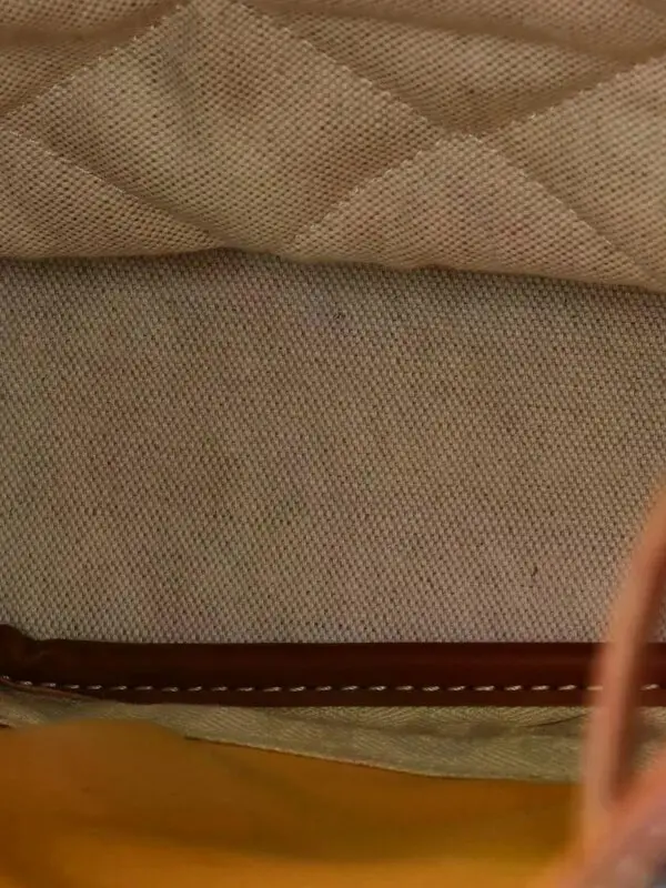 Goyard Alpin Coated Canvas Mm Backpack