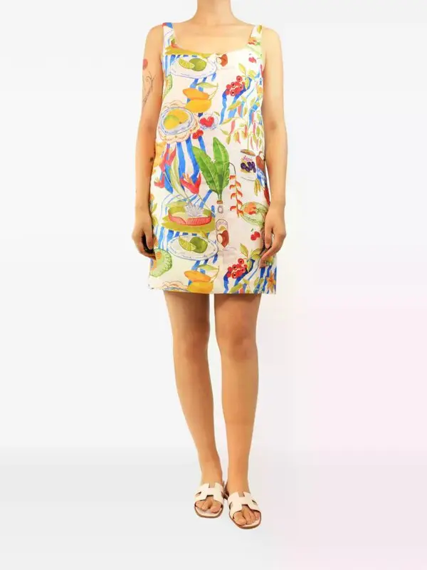 Farm Rio Printed Linen Mini Dress