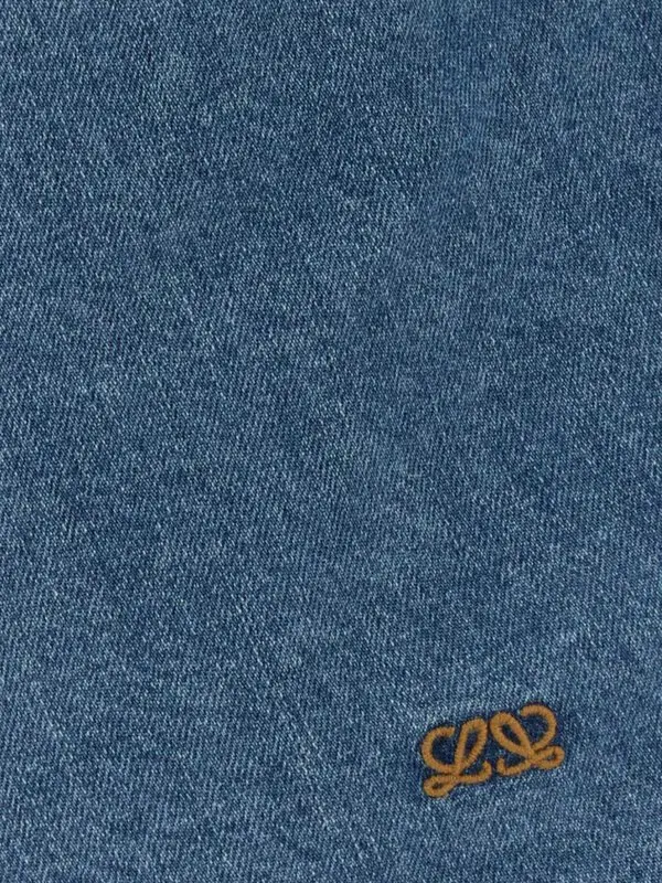 Loewe Skirt Colour