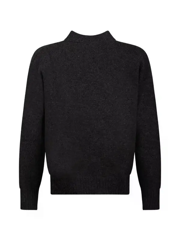 AMARANTO Button-up Long-sleeve Polo Shirt