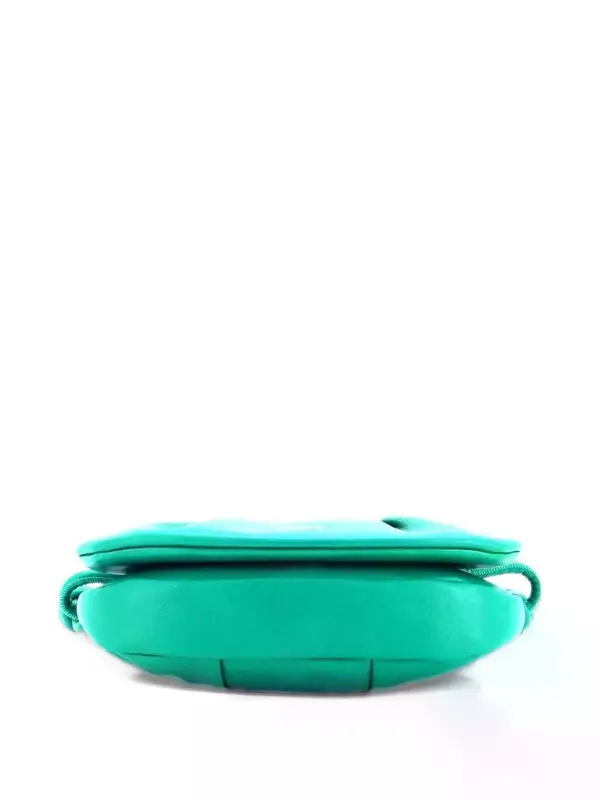Loewe Paseo Leather Shoulder Bag