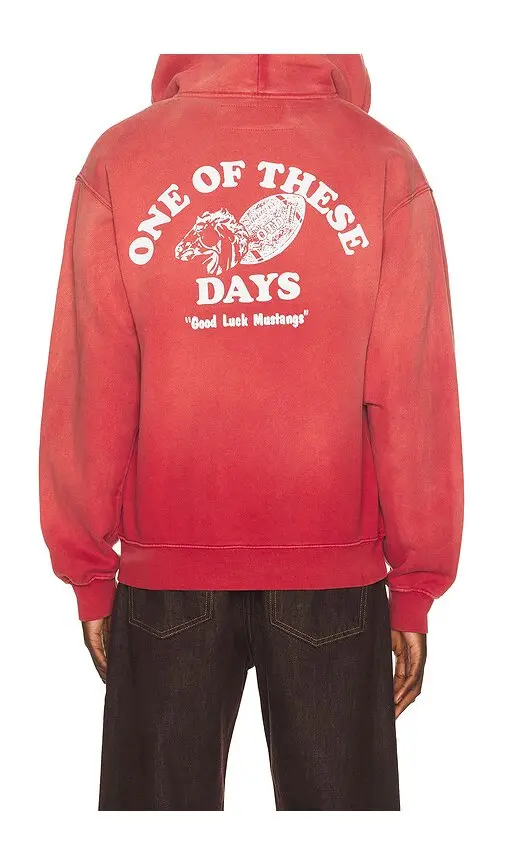 ONE OF THESE DAYS Good Luck Mustangs Zip Hoody