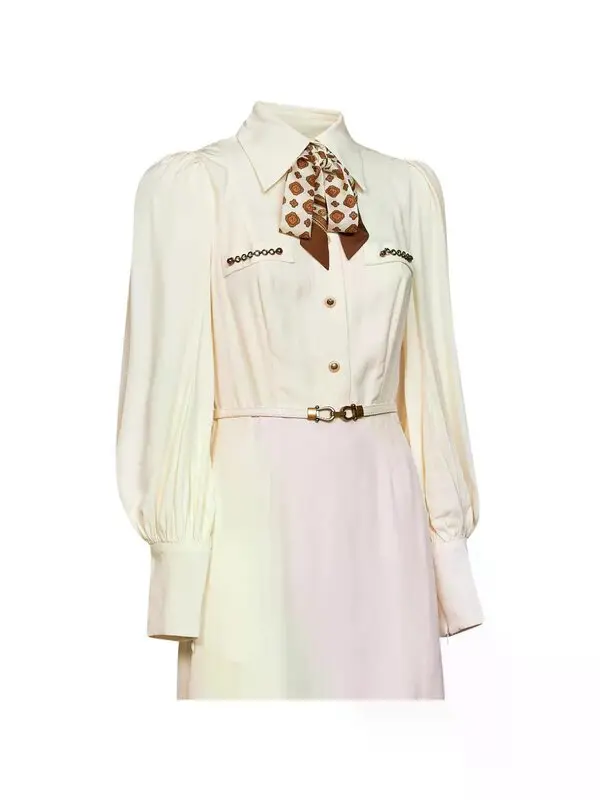 Zimmermann Belted Puff-sleeve Dress