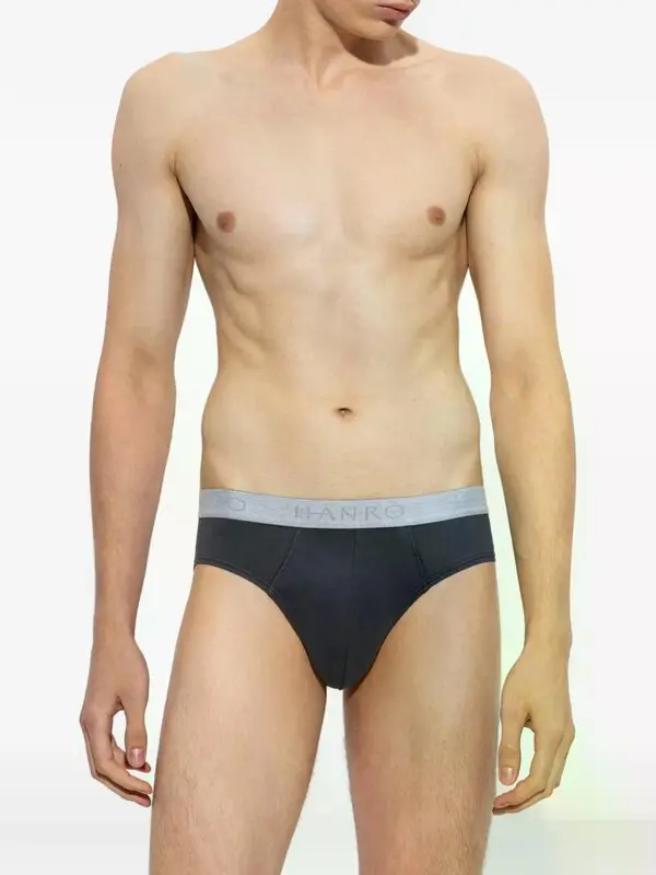 Hanro Cotton Essentials Briefs