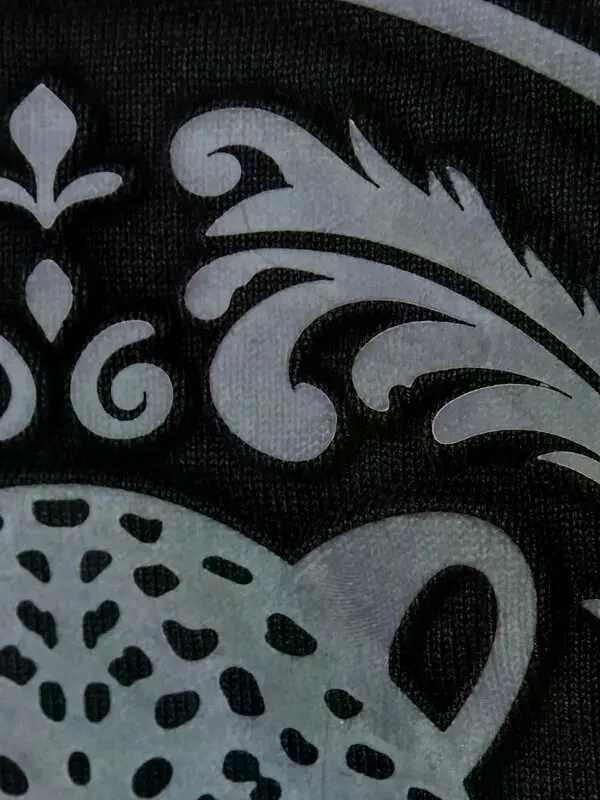 Lola Casademunt Leopard-print Logo-print Sweater