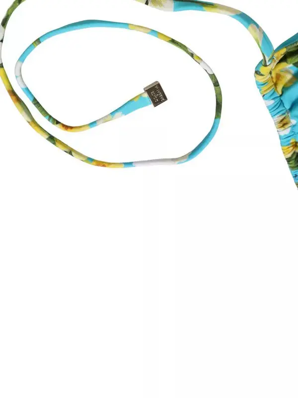 Dolce & Gabbana Floral-print Halterneck Bikini Top - Blue