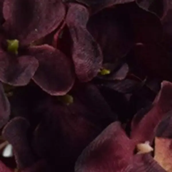 SILK-KA Artificial Hydrangea Flower - Burgundy