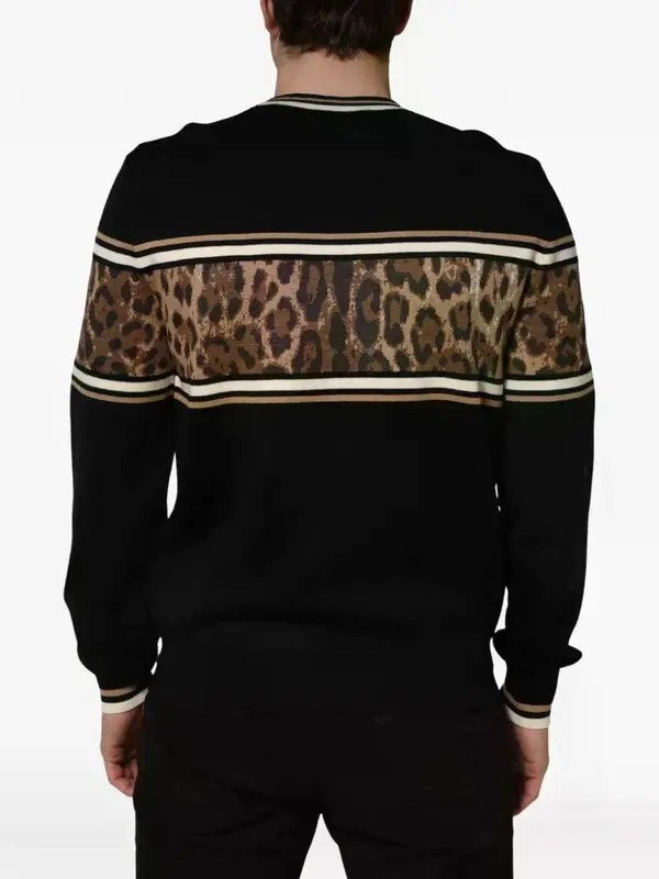 Dolce & Gabbana Leopard-pattern Logo-patch Sweater