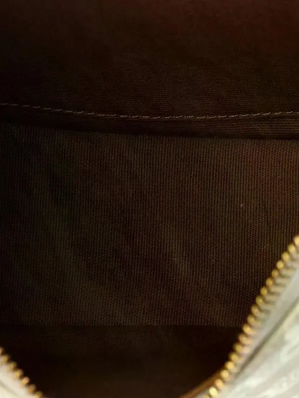 Celine Ava Bag Triomphe Coated Canvas Hobo Bag
