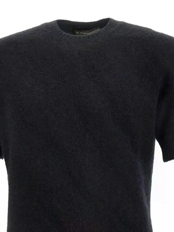 FILIPPO DE LAURENTIIS Short-sleeve Crew-neck Sweater