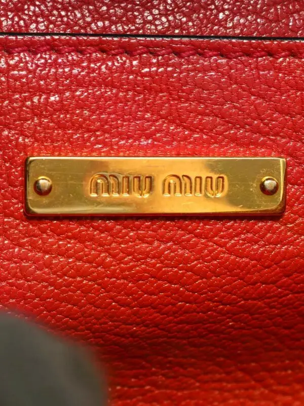 Miu Miu 2010-2026 Leather Crystal Embellished Crossbody Bag
