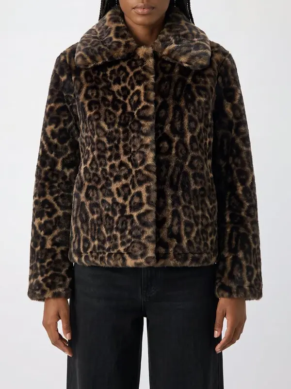 Apparis Jacket Colour