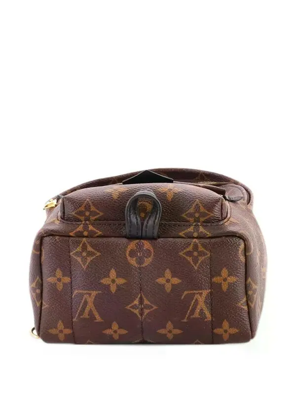 LOUIS VUITTON Palm Springs Monogram Canvas Mini Backpack - Brown