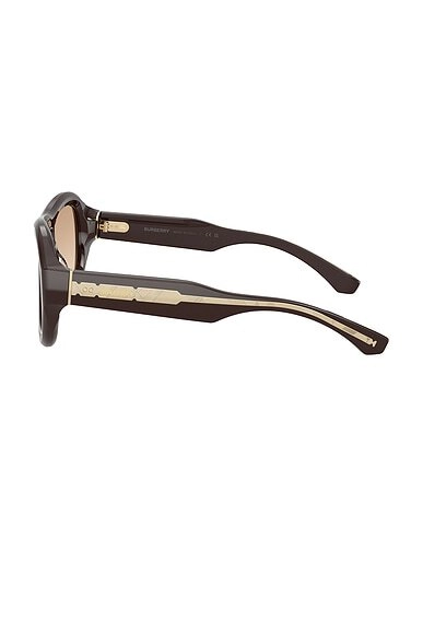 Burberry Shield Sunglasses