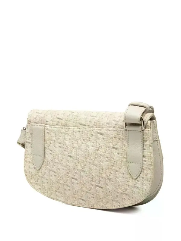 Dior 2019 Oblique Canvas Saddle Messenger Bag Crossbody Bag