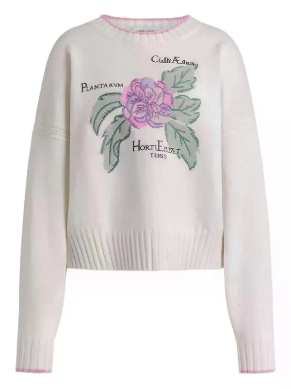 Alberta Ferretti Floral Knit Jumper - Neutrals