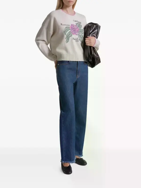 Alberta Ferretti Floral Knit Jumper - Neutrals