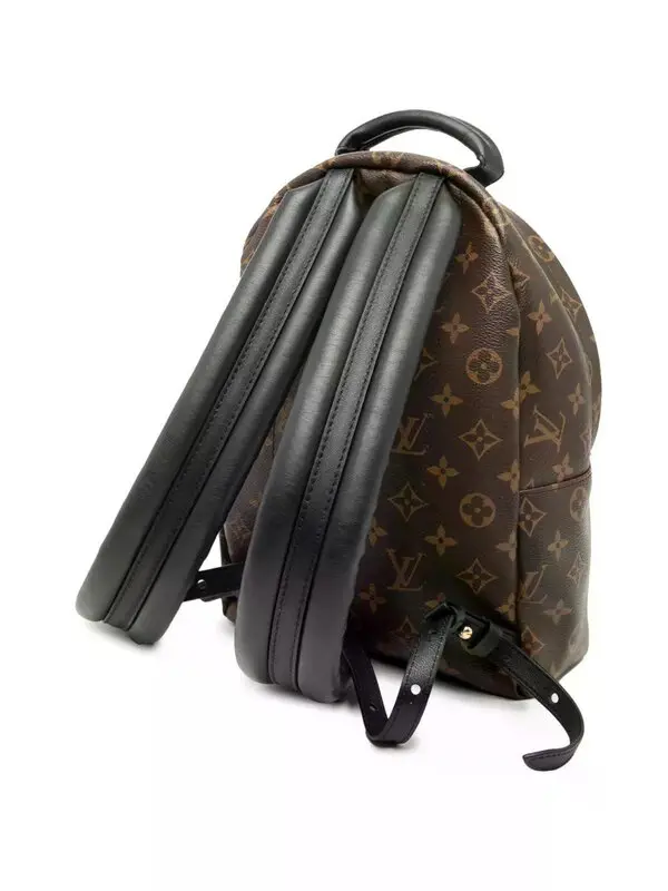 LOUIS VUITTON Monogram Palm Springs Pm Backpack - Brown