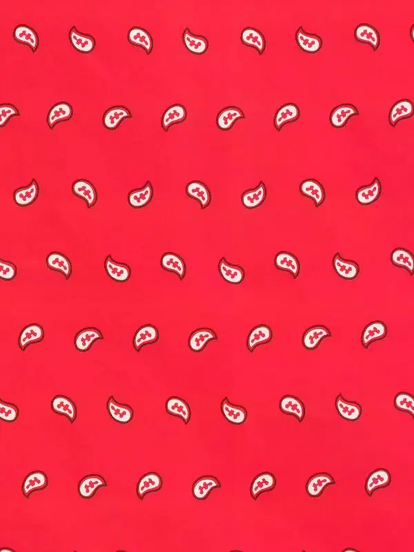P.a.r.o.s.h Paisley-print Foulard Scarf - Red