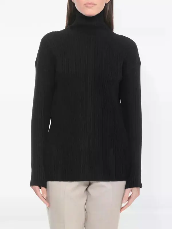 Antonelli Firenze Ribbed Roll Neck Long Sleeve Sweater - Black