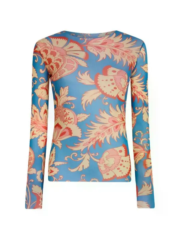 Etro Stretch Tulle Floral-motif Long-sleeve Top - Blue
