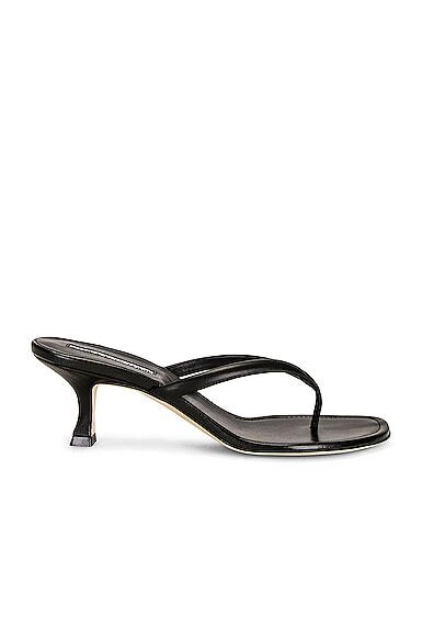 Manolo Blahnik Paterno 50 Leather Sandal