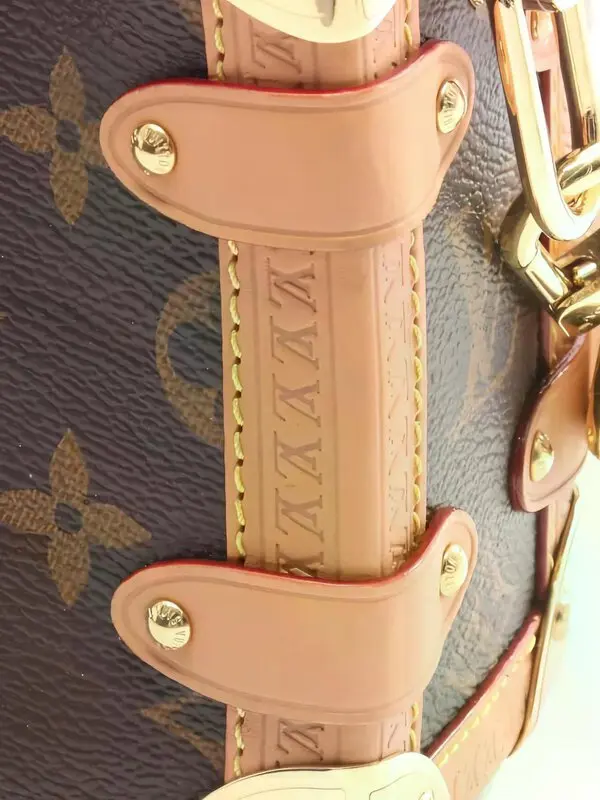 LOUIS VUITTON 2021 Monogram Shoulder Bag