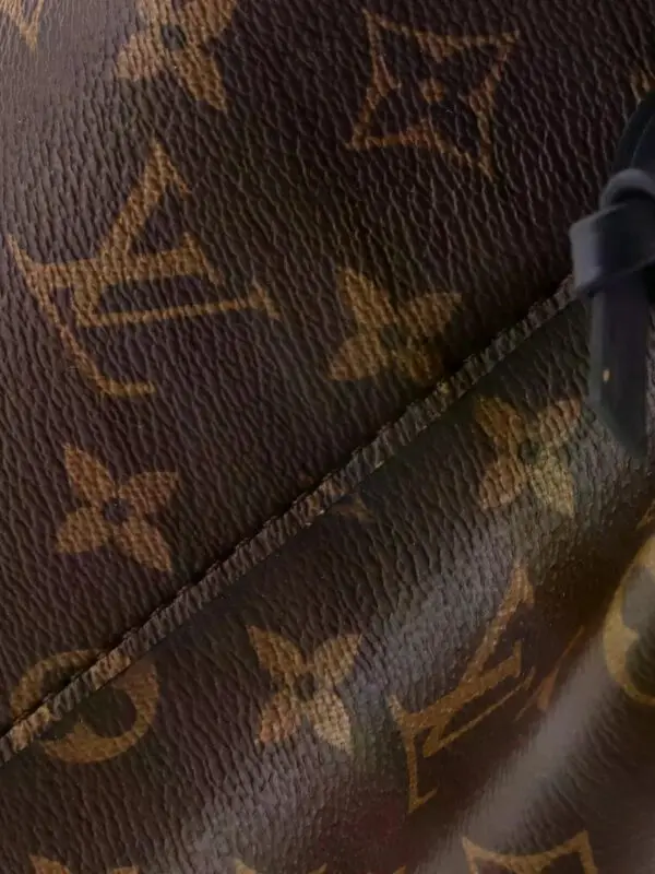 LOUIS VUITTON Monogram Canvas Neonoe Bucket Bag - Brown