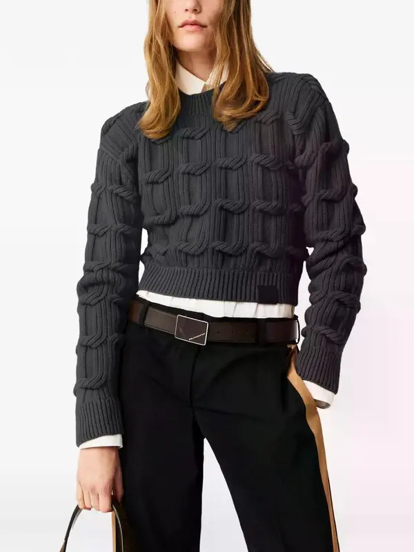 Stella McCartney Crew Neck Cropped Knit Sweater