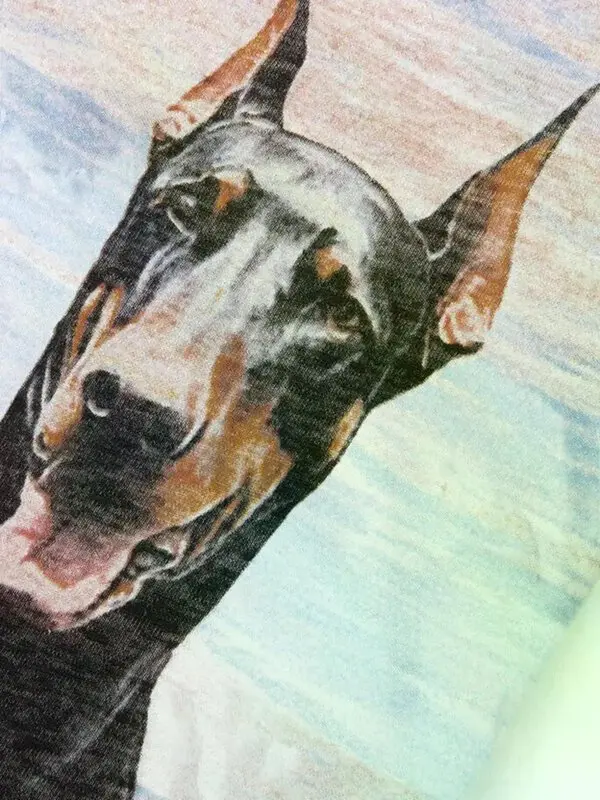 REPRESENT Dobermans-print T-shirt - Neutrals