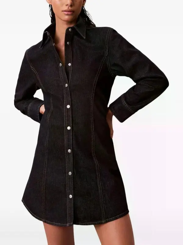 Calvin Klein Buttoned Collared Long Sleeve Mini Dress