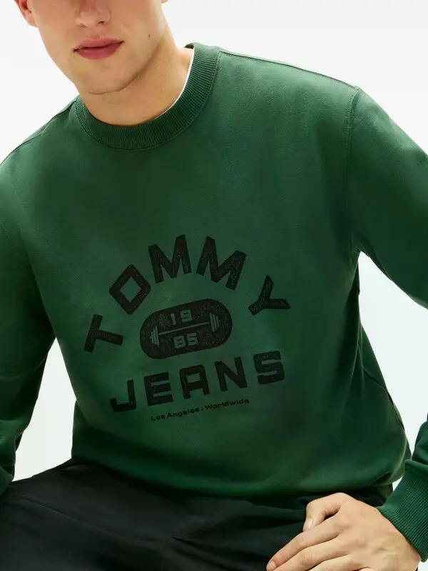 Tommy Hilfiger Graphic Print Crewneck Jumper