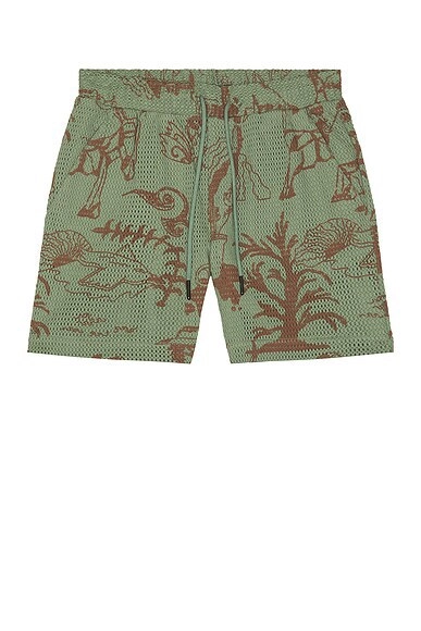 Oas Porto Printed Shorts
