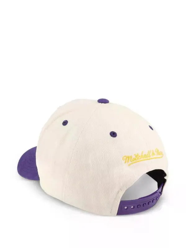 Mitchell & Ness Nba Horizon Pro Baseball Cap - Neutrals