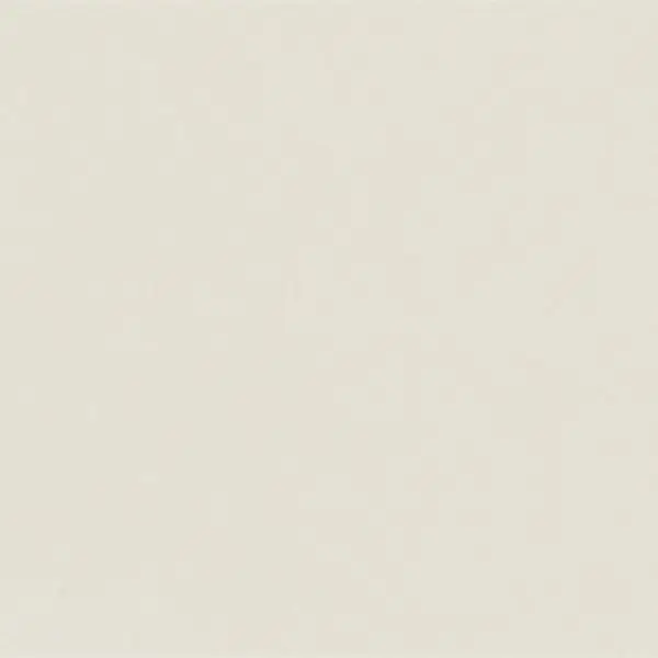 MAISON MARGAUX Set Of 4 Shell Dinner Plates