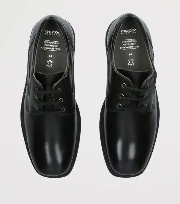 Geox Federico Leather Lace-up Shoes